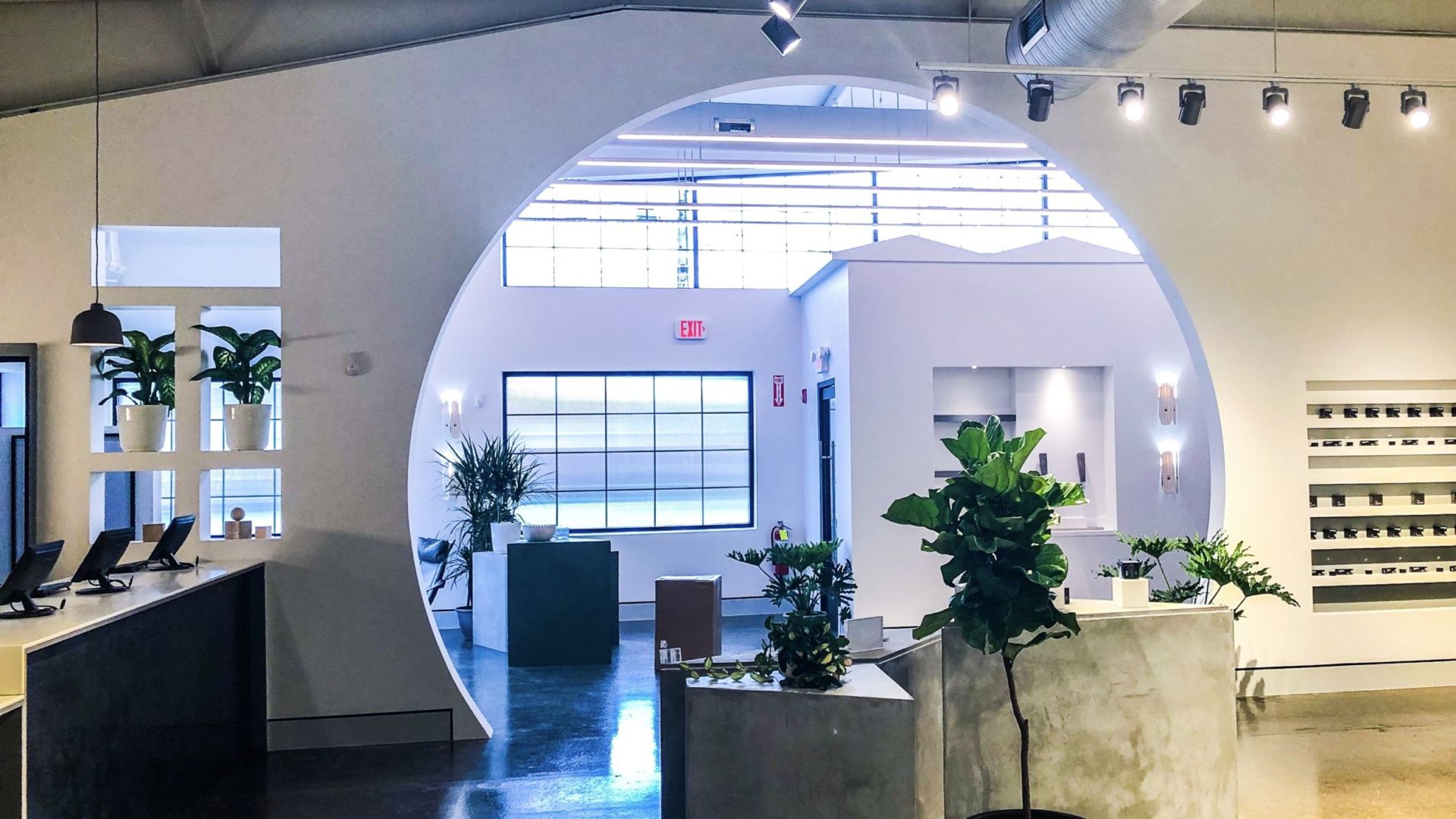 Theory Wellness Flexes Cannabis Retailing Expertise At Third ...