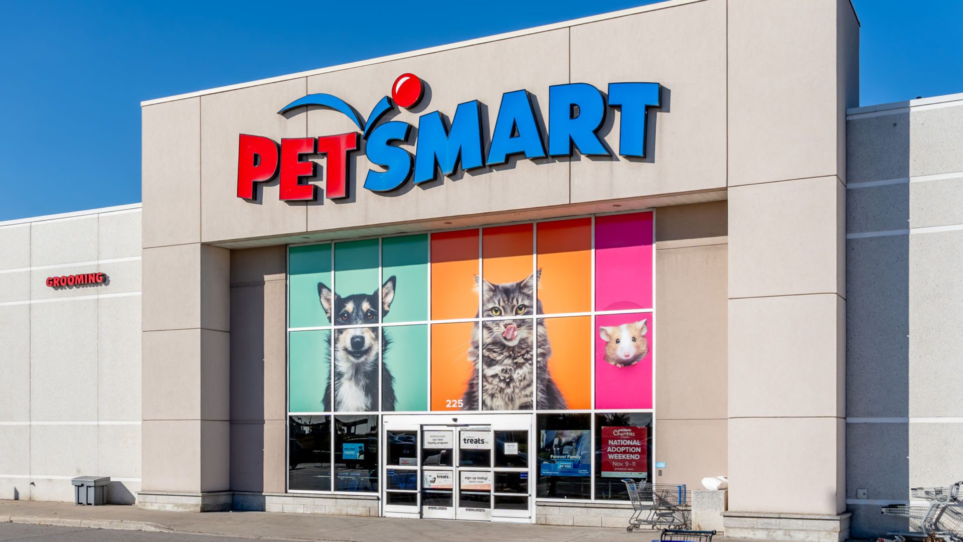 PetSmart Canada Partners With DoorDash To Offer Same Day Delivery