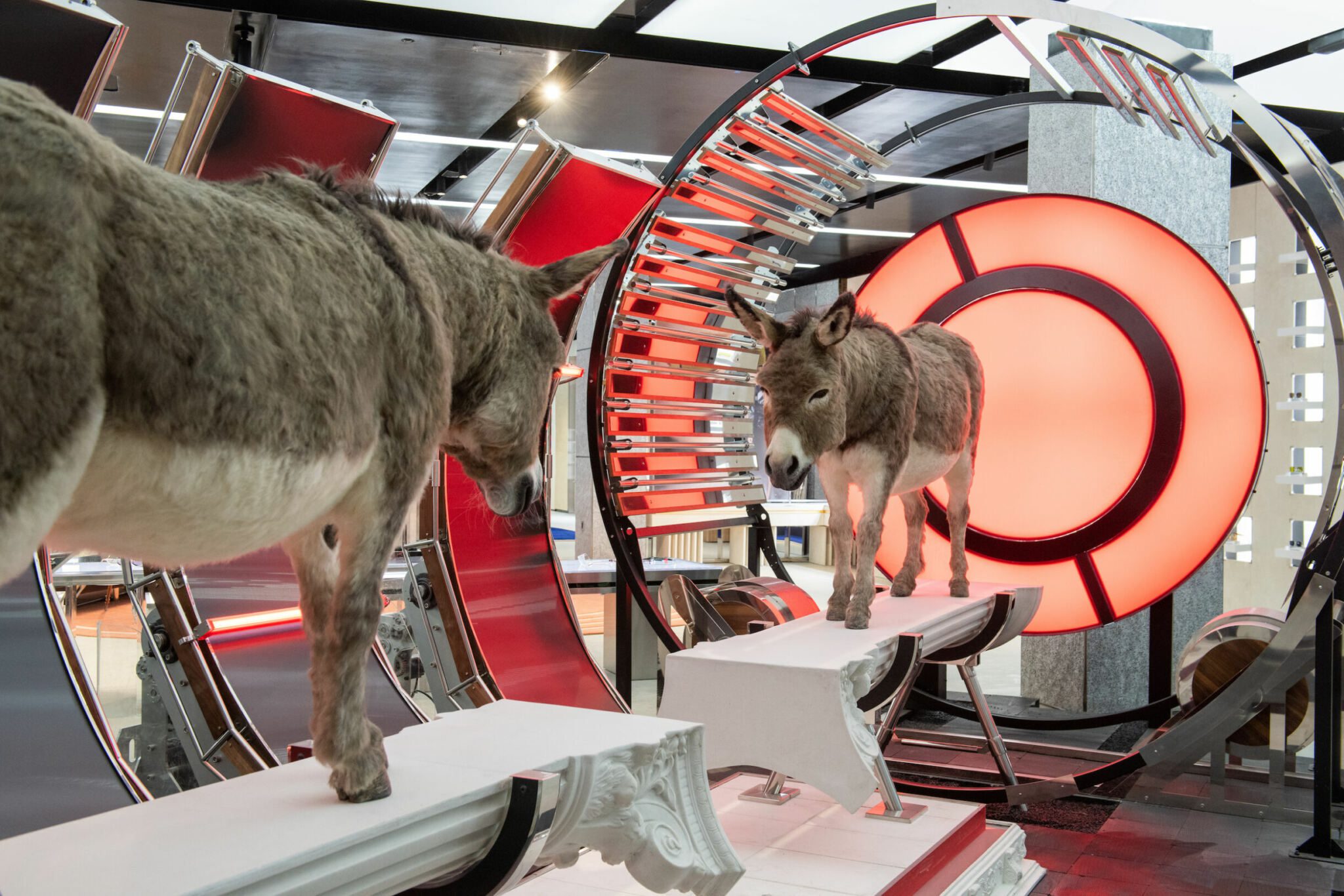 Experiential Retail Goes Surreal at Gentle Monster’s Latest U.S ...