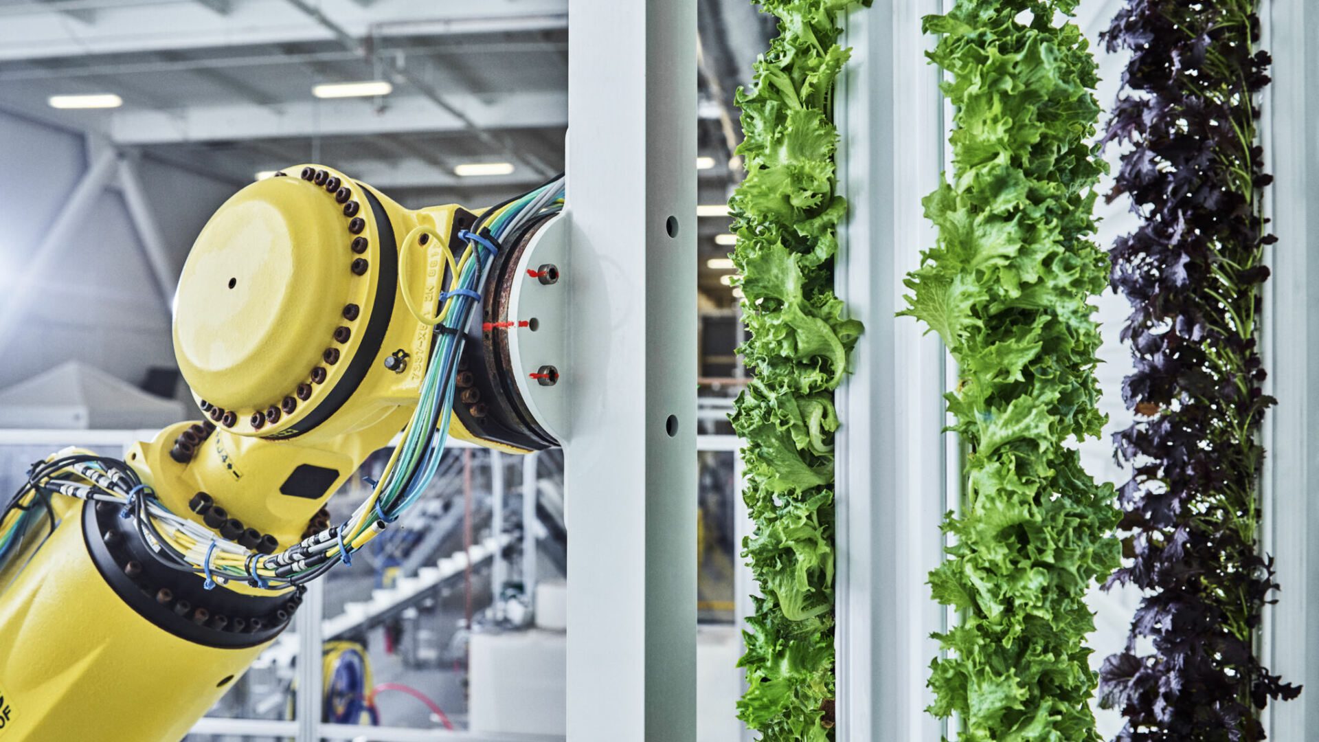 Walmart Invests in Indoor Farming to Access Fresh, Sustainably Grown ...