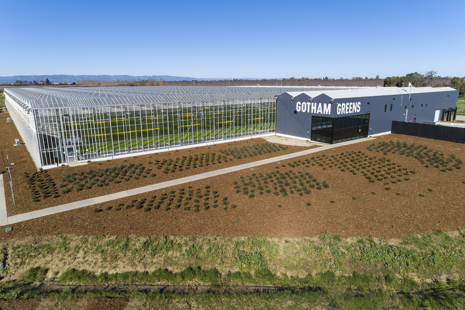 Gotham Greens Raises $310M+ to Cultivate Greenhouse Growth - Retail ...