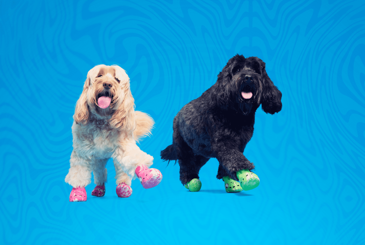 Bark and Crocs Collab on New ‘Paw-Wear’ for Pups - Retail TouchPoints